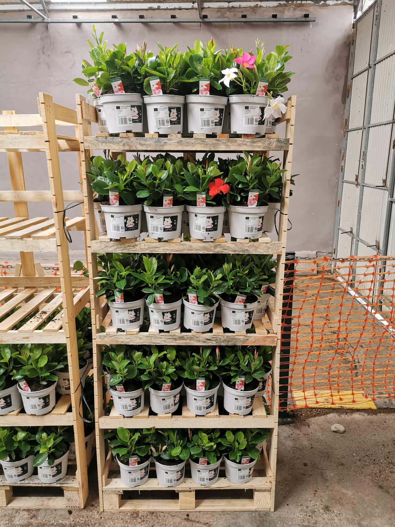 Box Palets – Hijos de BG